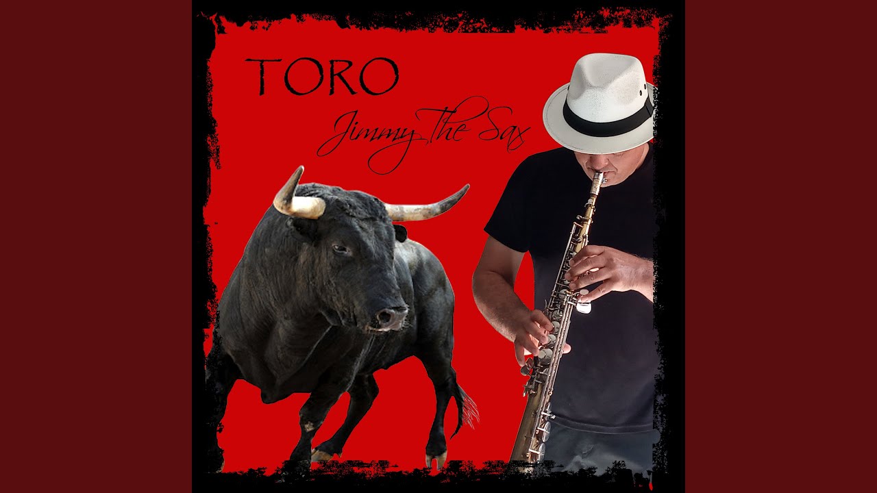 Toro Youtube Music