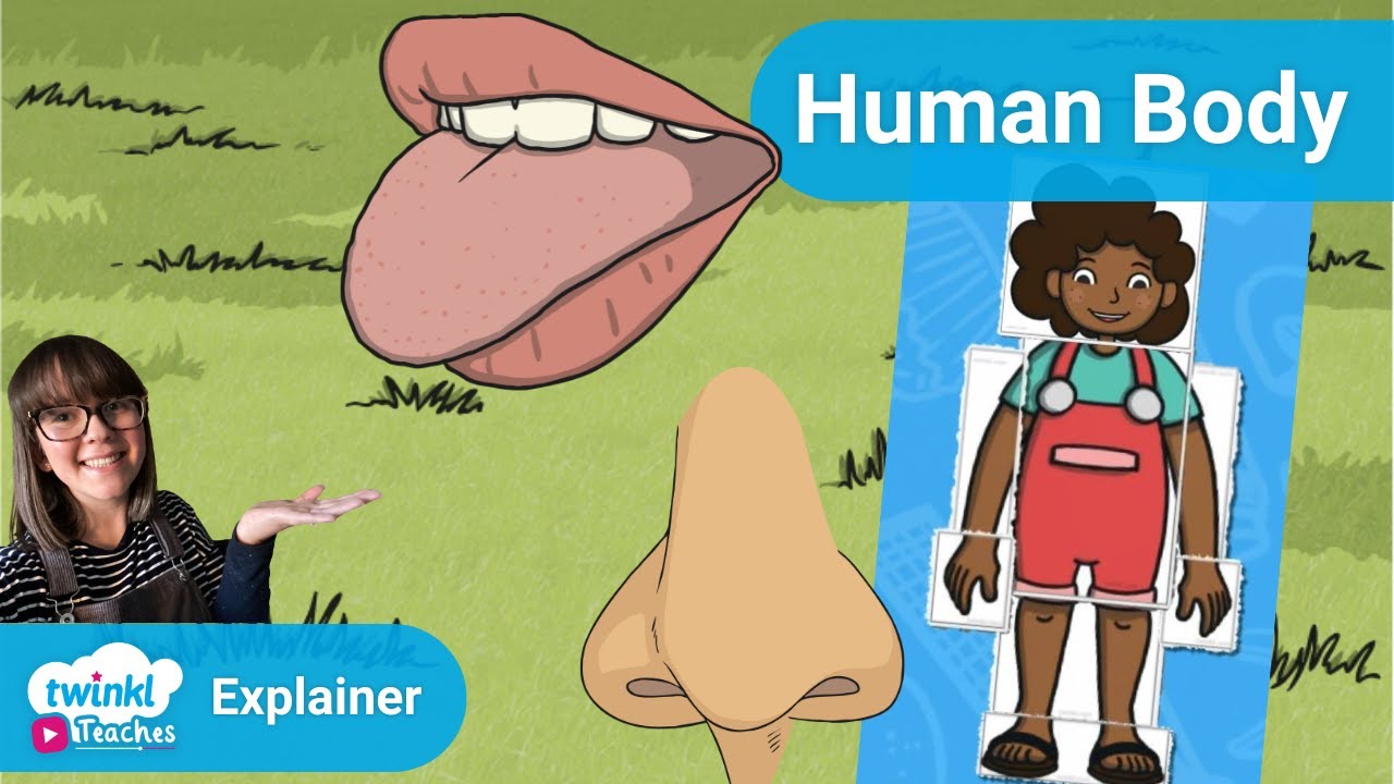 Fun Human Body Craft Activity Youtube