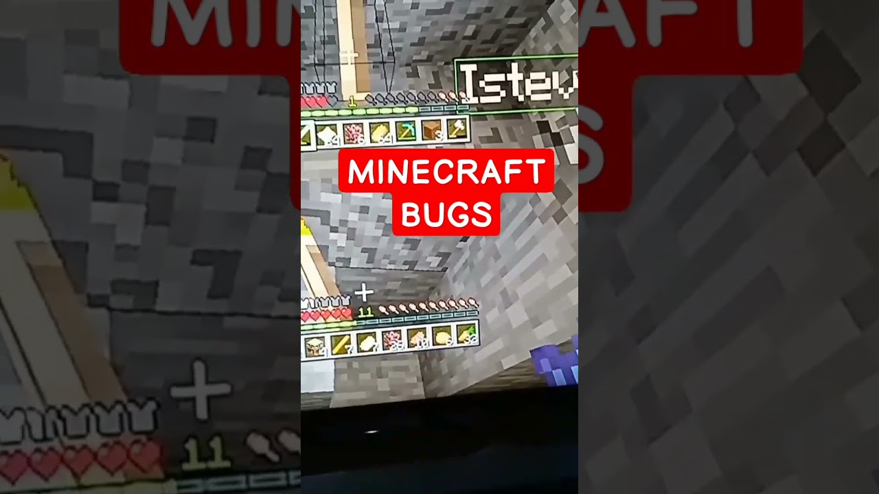 Minecraft Bugs Youtube
