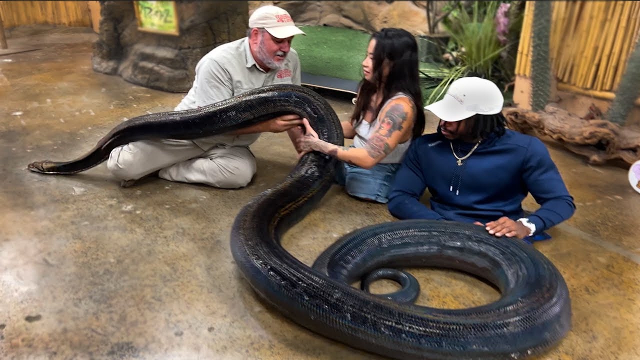 Reticulated Python