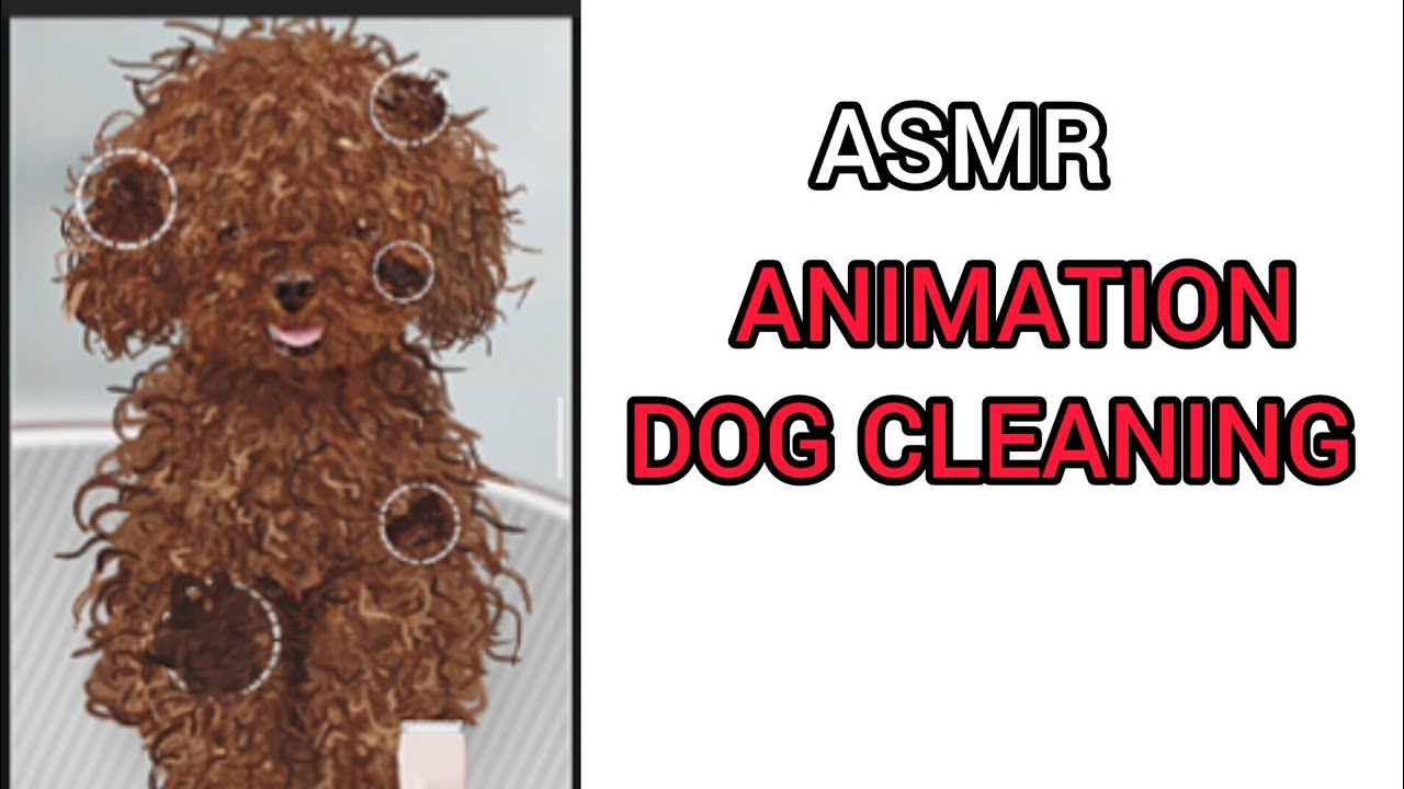 Asmr Dog Cleaning Animation Treatment Asmr Animation 2 0 Youtube