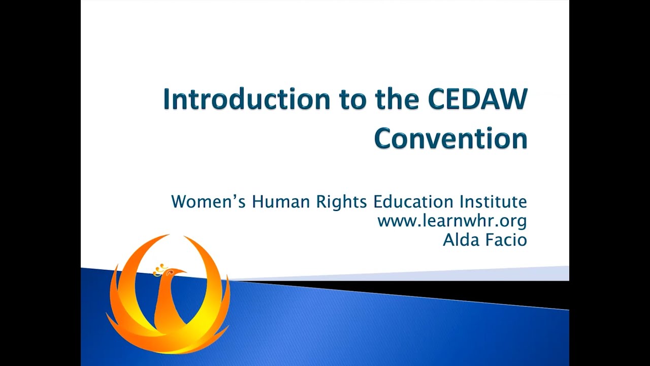 Introduction To The Cedaw Convention Youtube