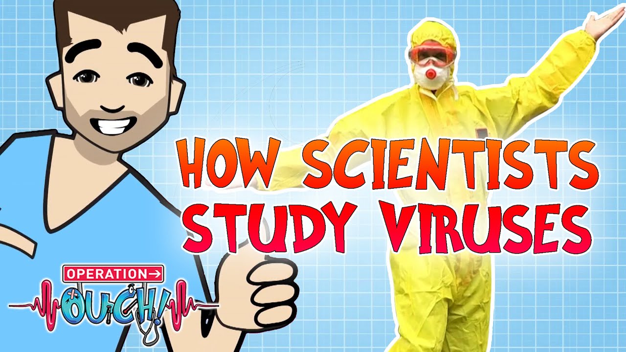 How Scientists Study Viruses Operation Ouch Youtube