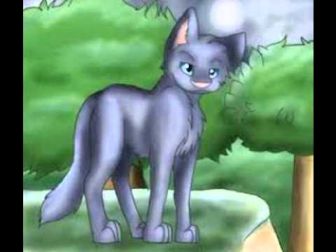 Bluestars Life Youtube
