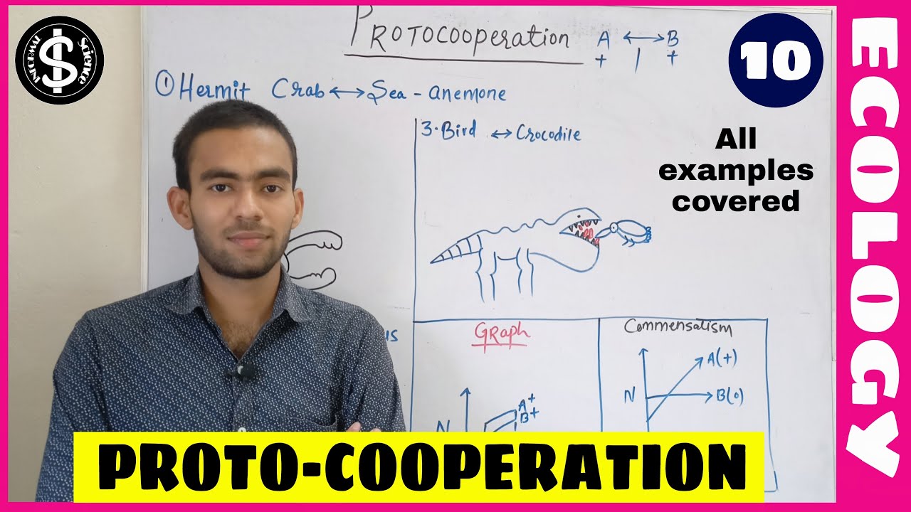 Lect 10 What Is Protocooperation Protocooperation Example Biology Class