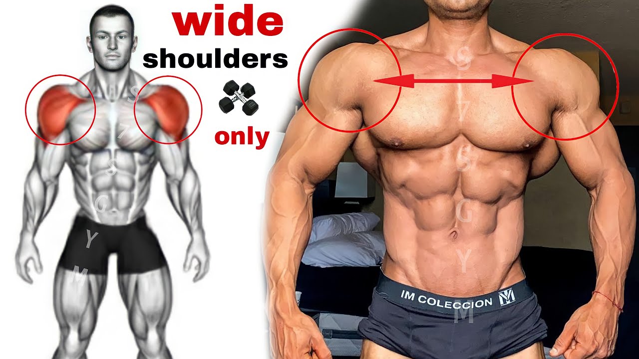 What Should U Workout With Shoulders At Janie Clark Blog