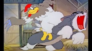 Tom And Jerry Fine Feathered Friend 1942 Tom And Jerry Cartoon Iukeitv ...