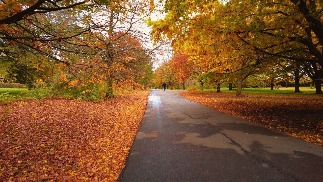 London Uk Morning Autumn Nature Walk Through Regents Park To Central