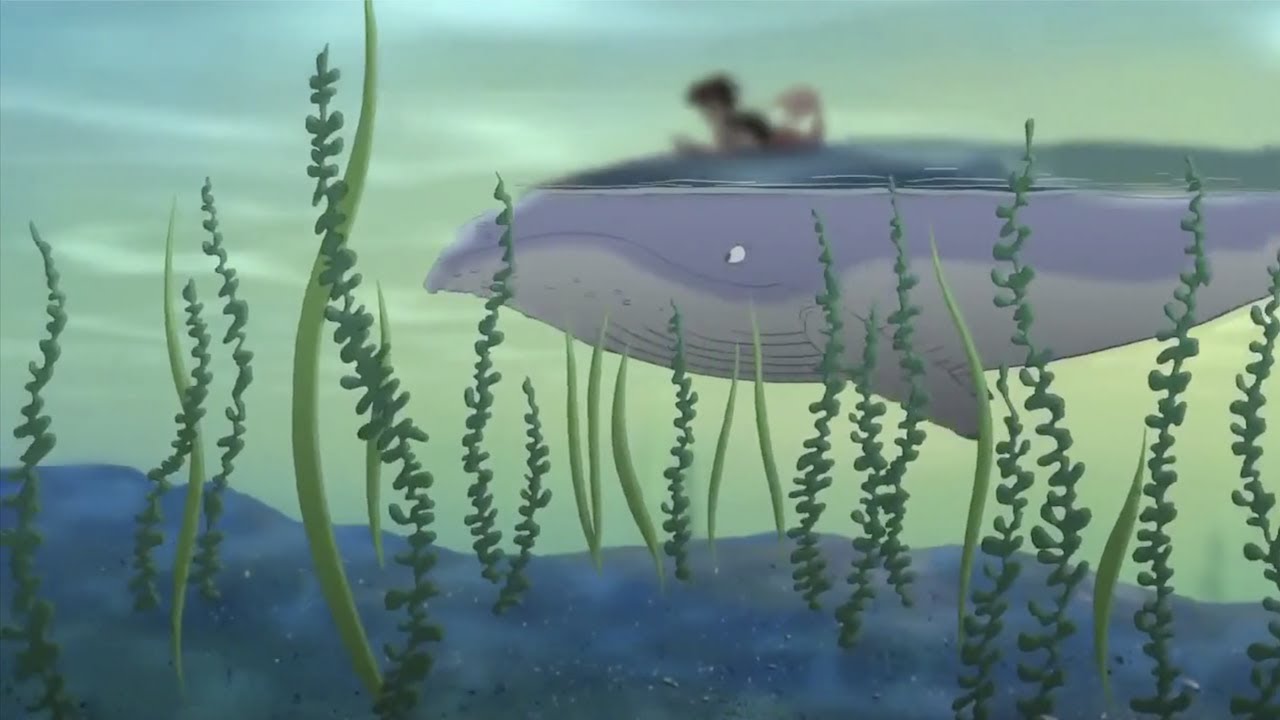 Tickling A Whale Makes It Sneeze Youtube
