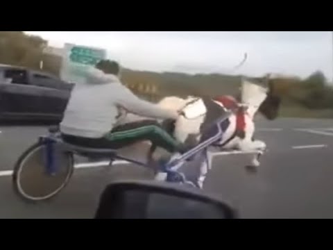 Most Confusing Video Ever Youtube