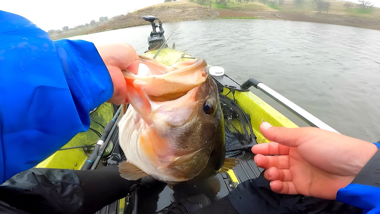 Big Bass Compilation Youtube