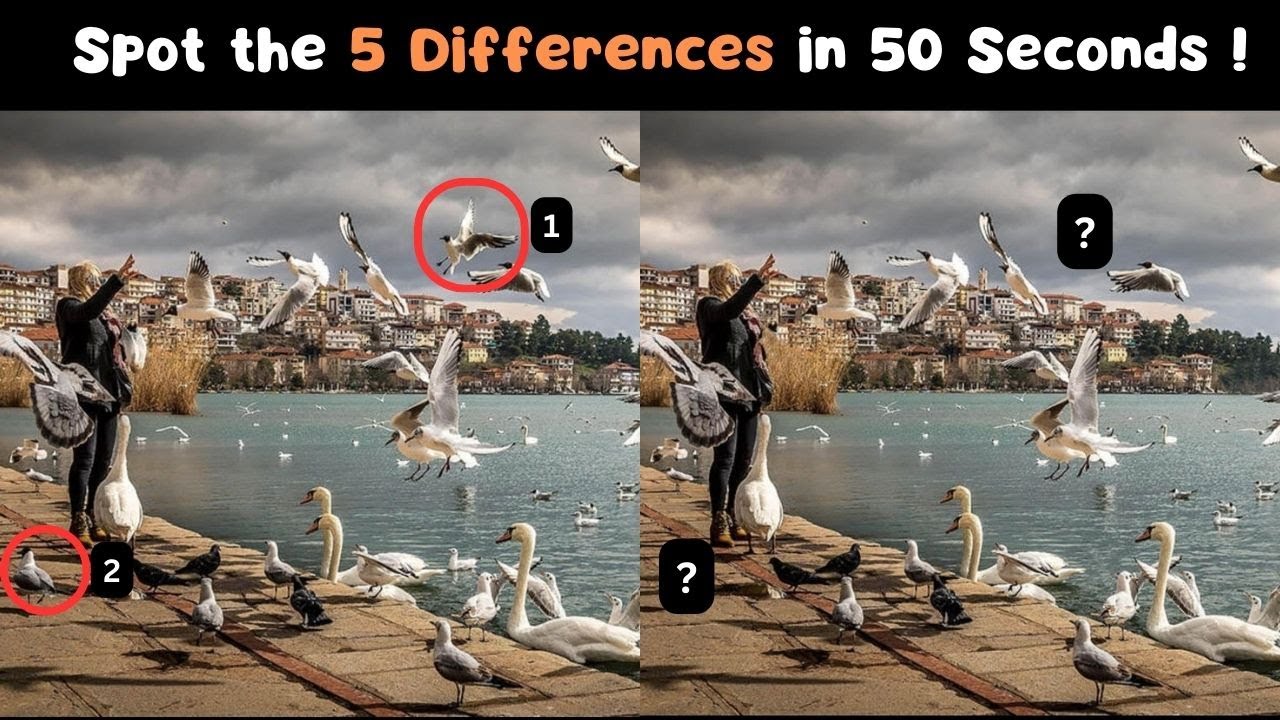Test Your Eyes Spot The 5 Differences In 20 Seconds Youtube
