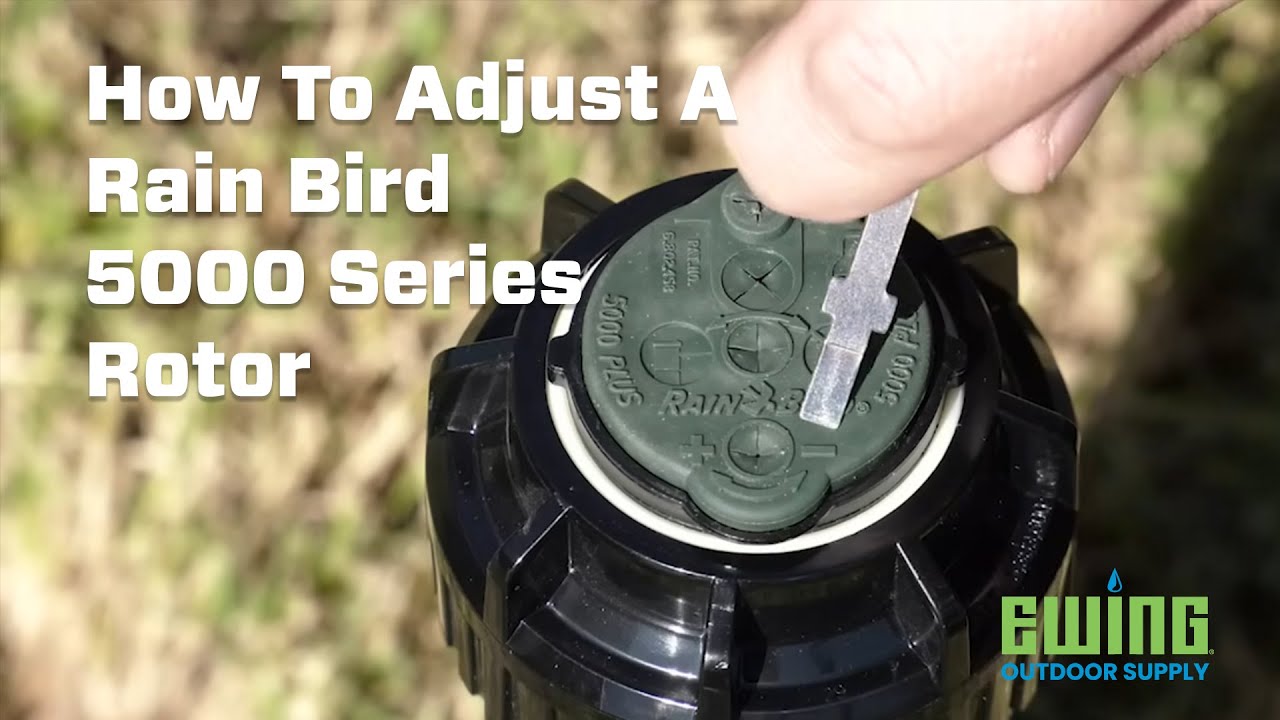 Unlock Perfect Coverage Adjust Your Rotating Sprinkler Head