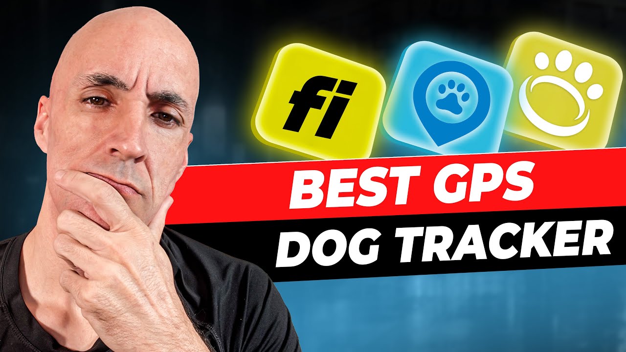Best Gps Dog Trackers 2025 Which One Actually Works Best Youtube