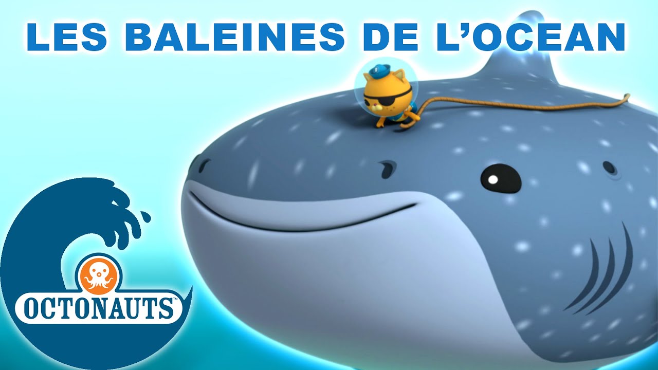 Octonauts Les Baleines De L Océan Dessins Animés Pour Enfants Youtube