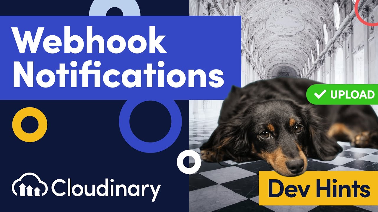 Using Webhook Notification Urls To Trigger Background Removal With