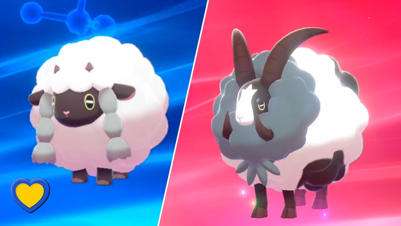 How To Evolve Wooloo Into Dubwool In Pokémon Sword And Shield Youtube