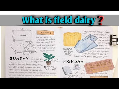 Field Diary Characteristics What It Is For Example Science 2025