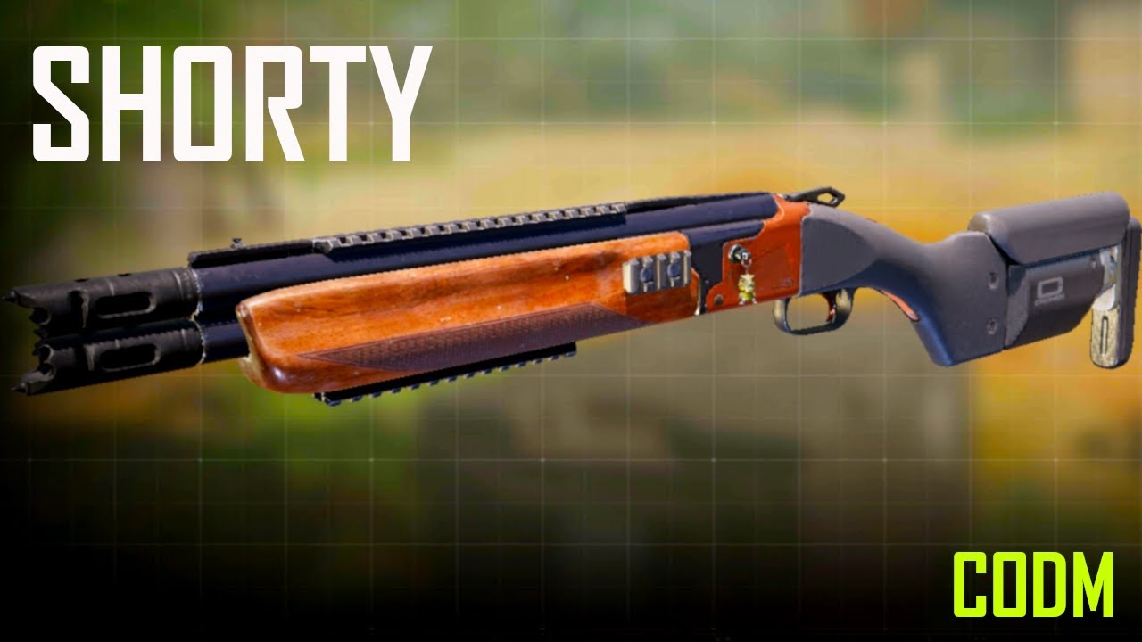 Shorty New Weapon Codm Op Class Youtube