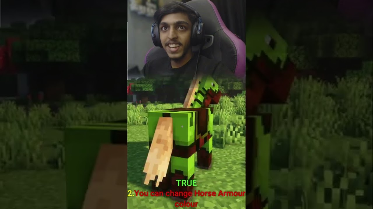Busting Minecraft Myths Shorts Youtube