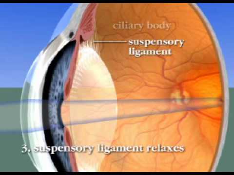 Accomodation Youtube