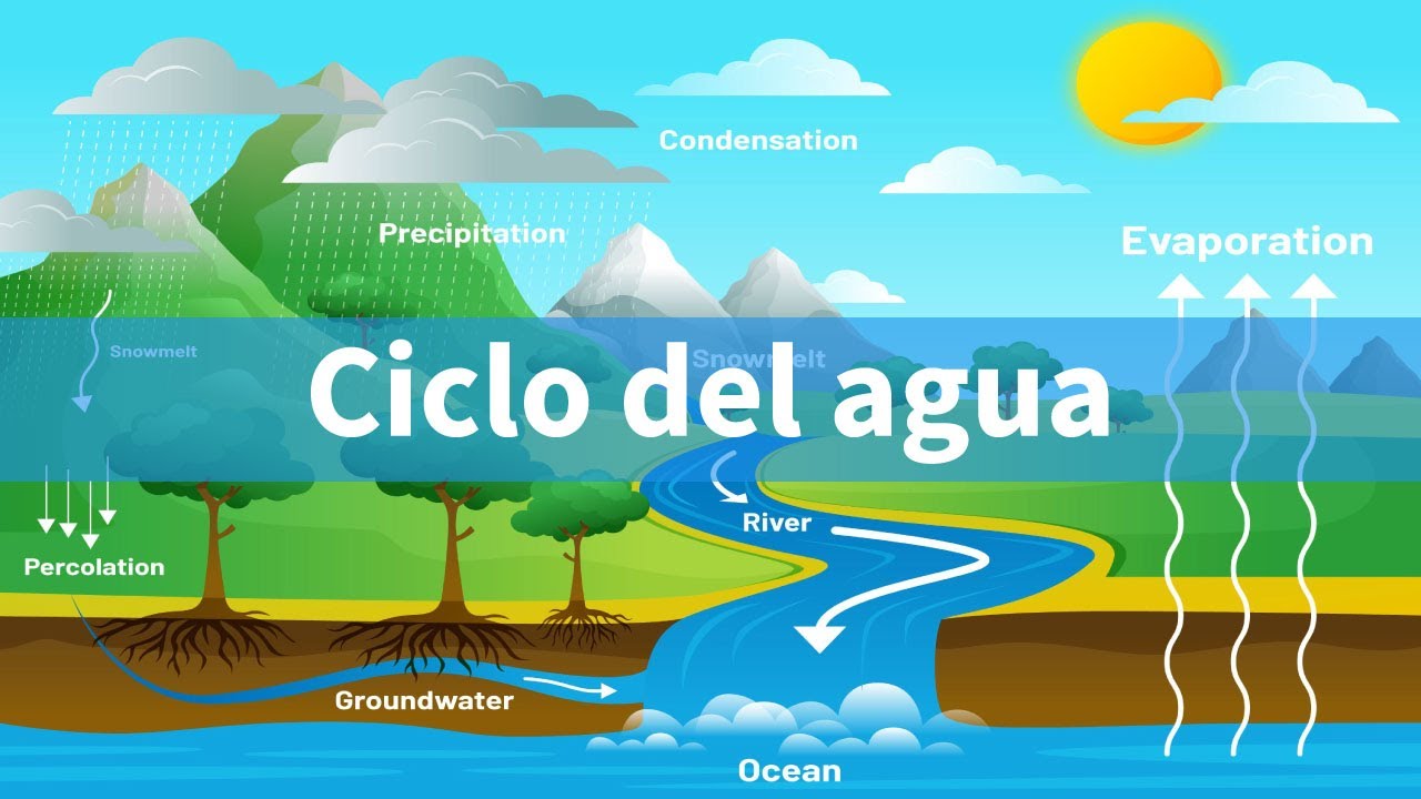 Ciclo Del Agua Qué Es Etapas Importancia Youtube