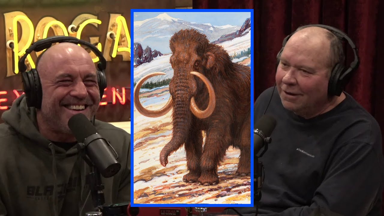 Eating Mammoth Joe Rogan Experience W John Reeves Youtube