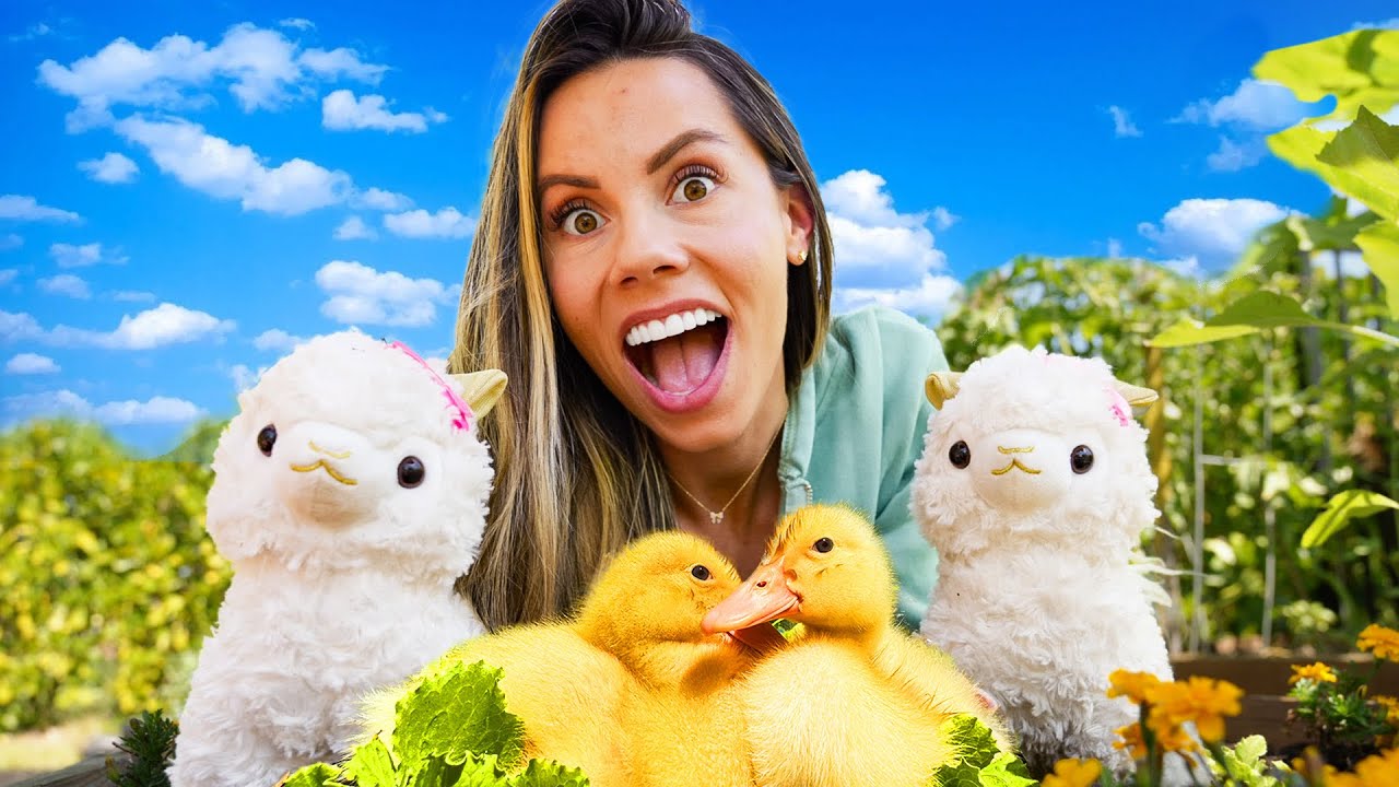 Babysitting The Cutest Ducks Youtube