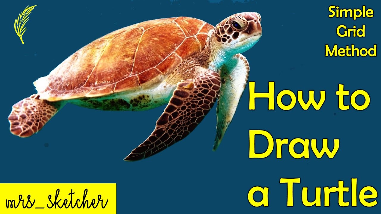 How To Draw A Realistic Sea Turtle Pencil Sketch A4 Youtube
