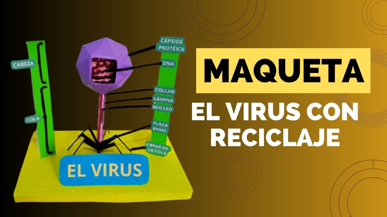 Como Hacer Una Maqueta De El Virus 笙ｻ ｩmvrc笙ｻ Youtube