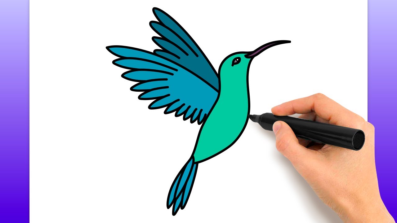 Cómo Dibujar Un Colibrí Fácil Tutorial De Dibujo Paso A Paso Youtube