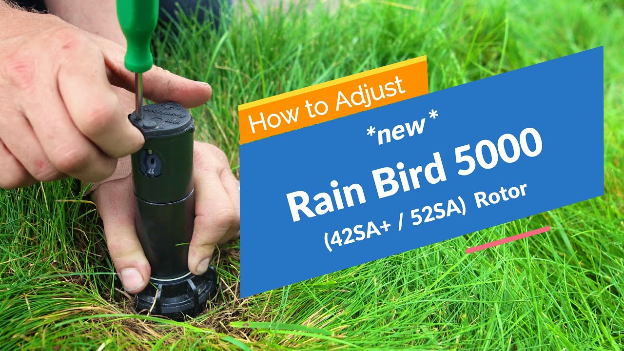 Rain Bird 5000 Rotor Adjustment For New Sprinkler Heads Youtube