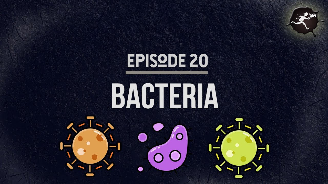 Good Bacteria Untamedscience 20 Youtube