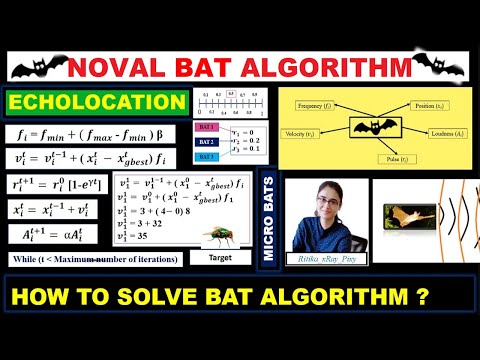 Bat Algorithm Solved Step By Step Xray Pixy Computer Science
