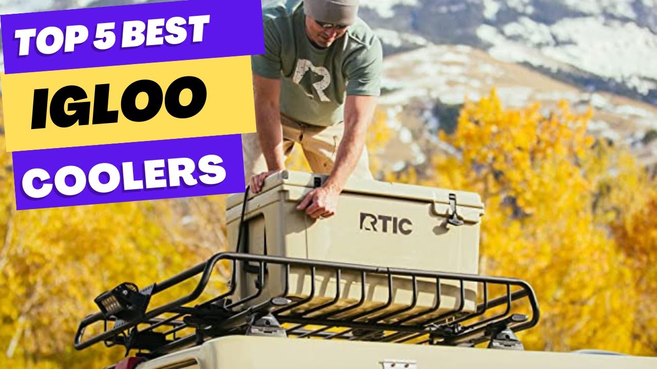 Top 5 Best Igloo Coolers 2025 Youtube