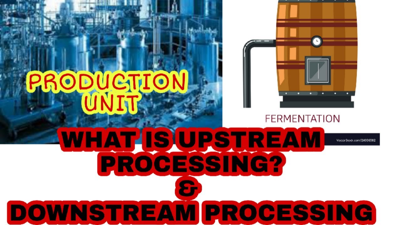 Upstream Downstream Processing Fermentation Production Youtube