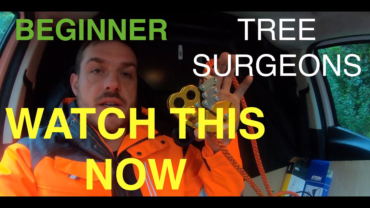 Beginner Tree Surgeon Watch This Now Youtube