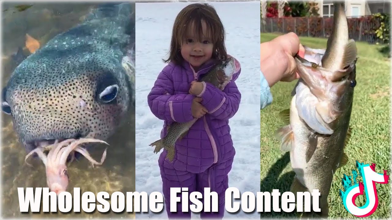Tiktok Fish Challenge At Roy Bush Blog