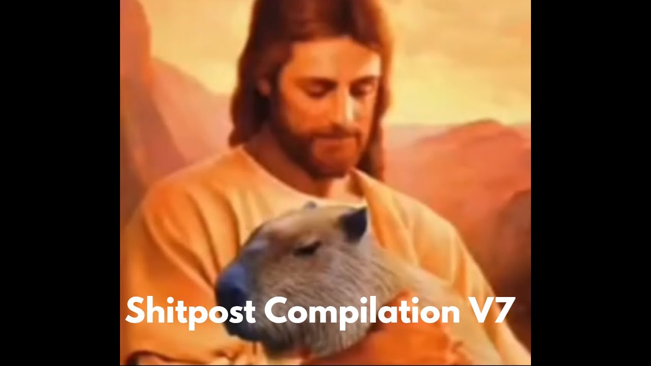 Shitpost Compilation V7 Dth Youtube