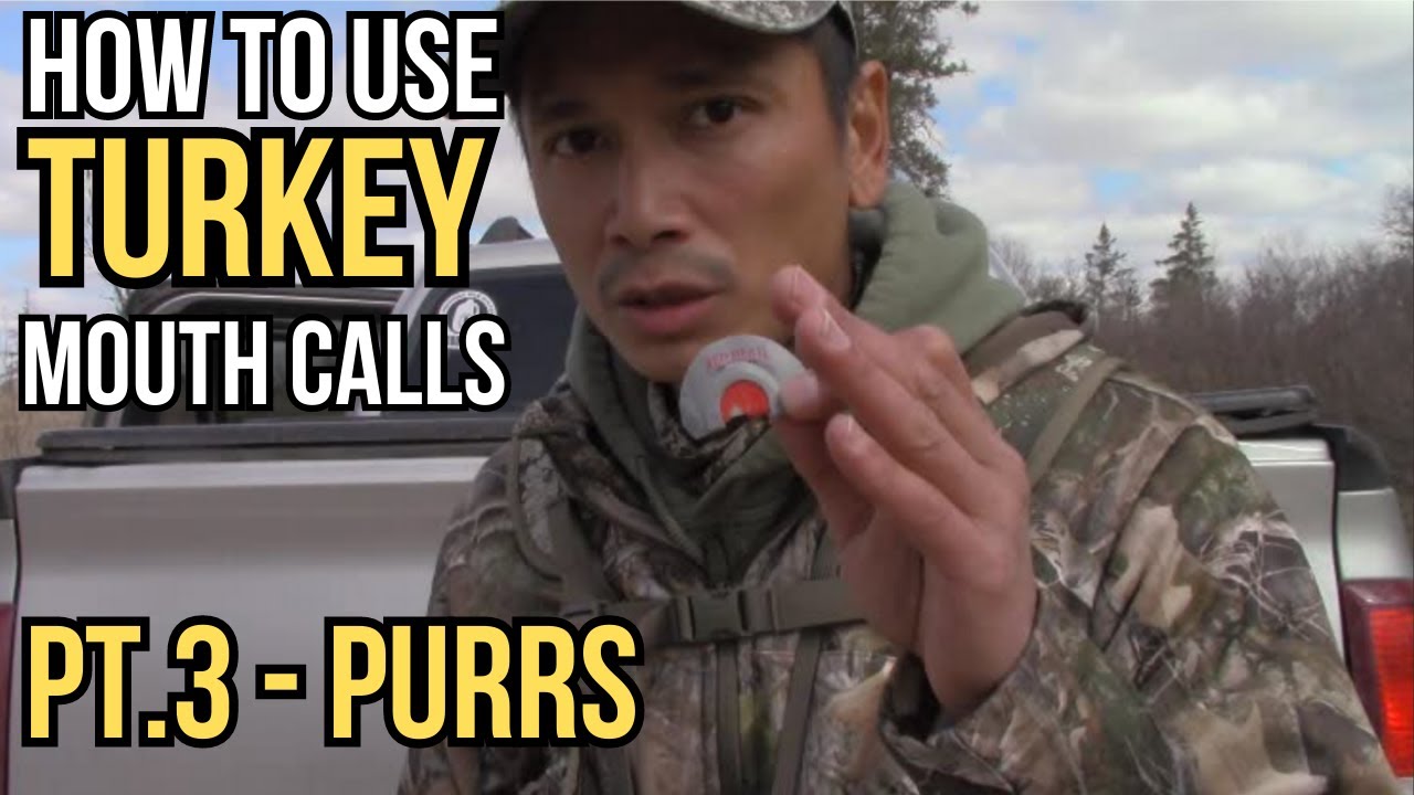 Turkey Calls 101 For Beginners How To Use Mouth Diaphragm Calls