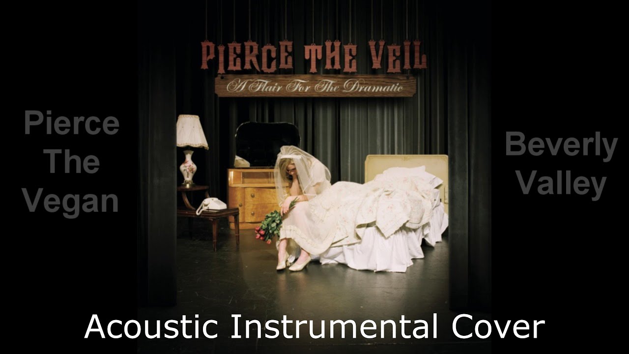 The Cheap Bouquet Pierce The Veil Acoustic Instrumental Cover