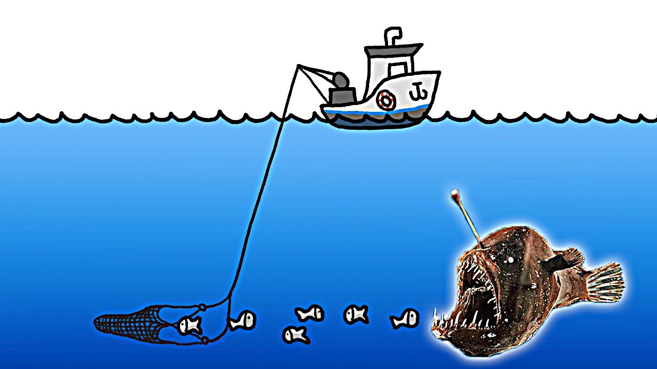 Denizens Of The Deep Youtube