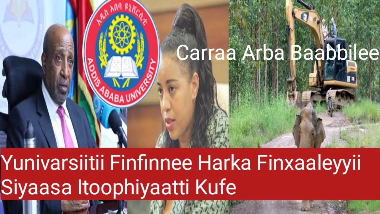 Oduu Fulbaana 01 2023 Youtube