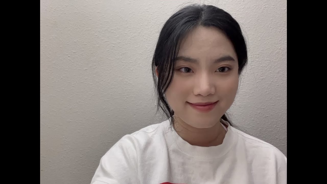 Nyu Idm Introduction Video Jiaming Zhang Youtube