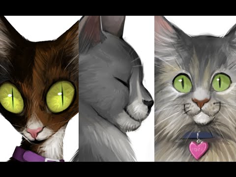 Speedpaint Cats Youtube