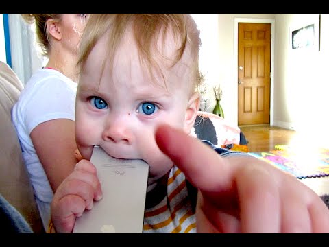 Baby Eats Iphone Youtube