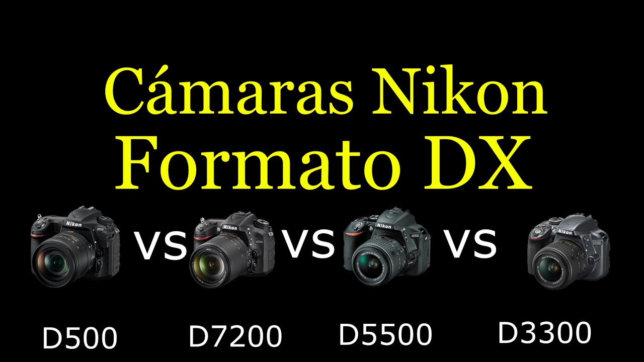 Nikon D500 Vs Nikon D7200 Vs Nikon D5500 Vs Nikon D3300 En Español Vs
