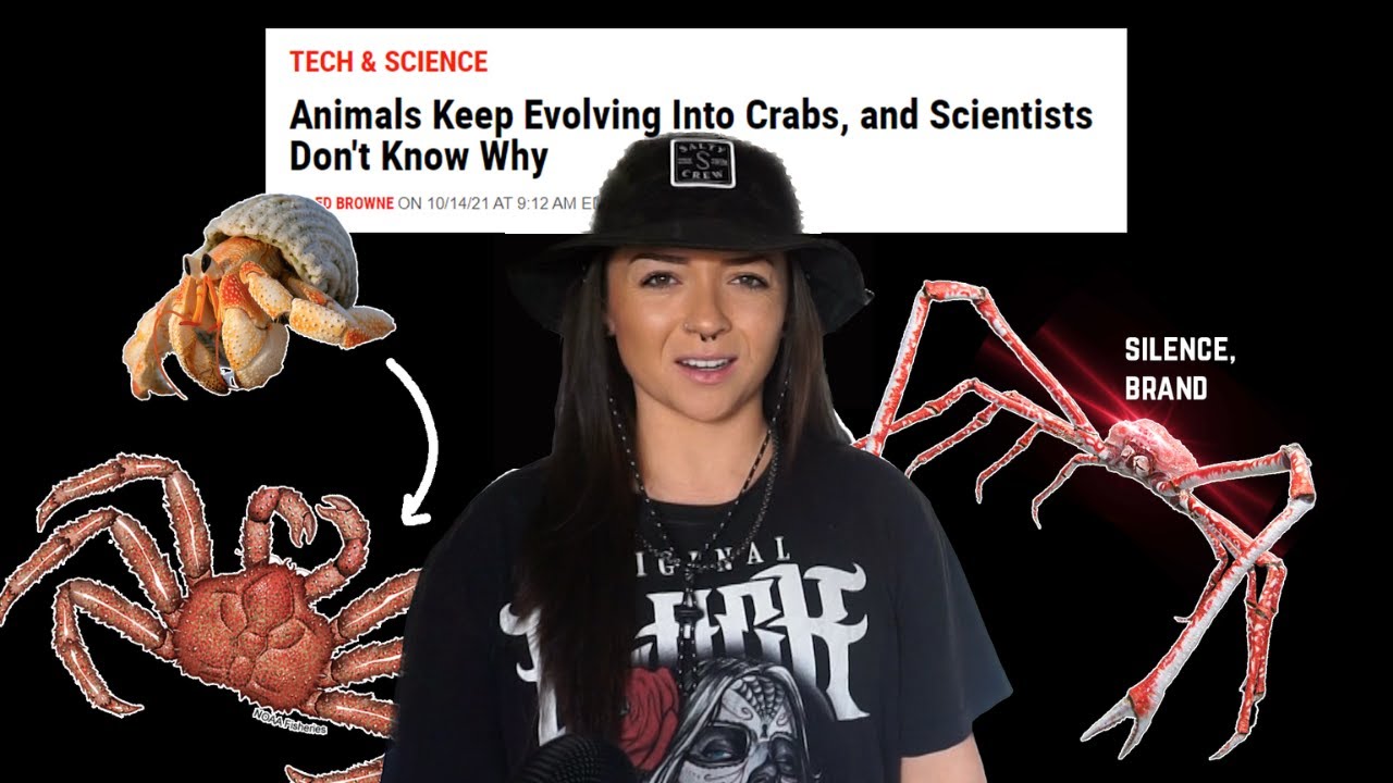 Crab Final Evolution At Samantha Atherton Blog