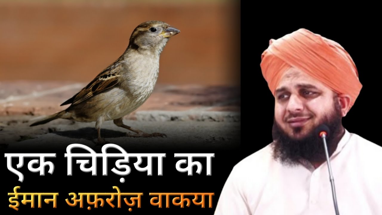 Beutiful And Life Changing Bayan By Peer Ajmal Raza Qadri Youtube