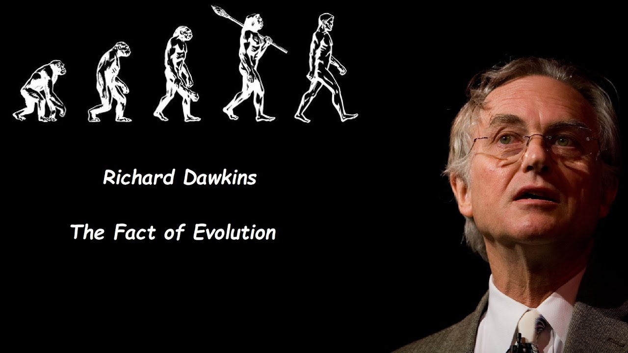 Richard Dawkins On The Fact Of Evolution Youtube